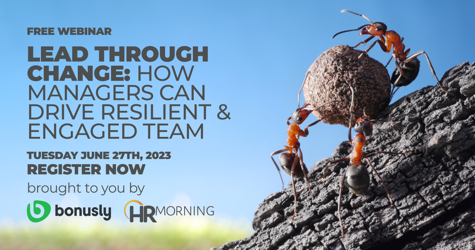 Lead Through Change: How Managers Can Drive Resilient & Engaged Team ...