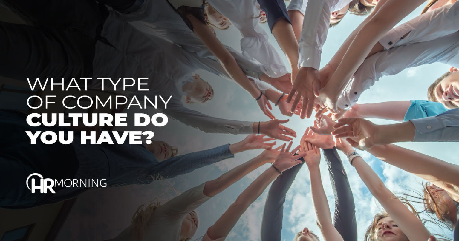 4 Different Types of Company Culture: Which One Are You?